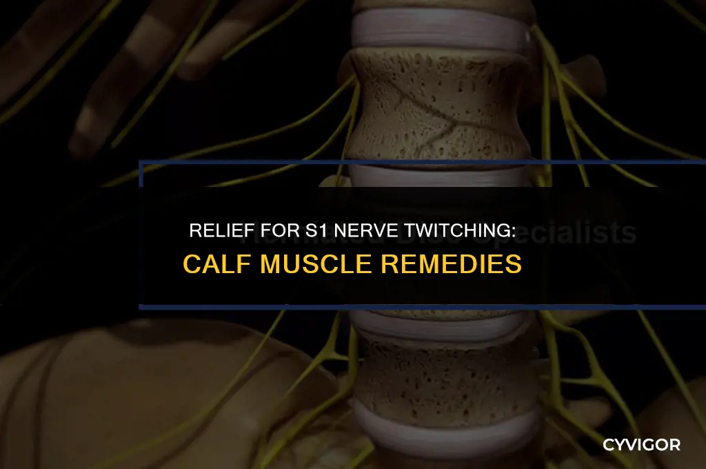 Relief For S1 Nerve Twitching: Calf Muscle Remedies | CyVigor