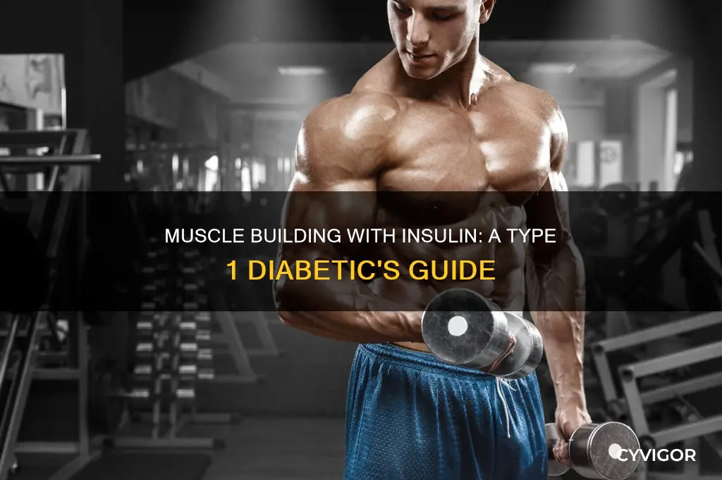 Muscle Building With Insulin: A Type 1 Diabetic's Guide | CyVigor