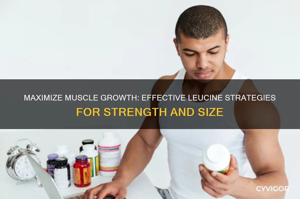 Maximize Muscle Growth: Effective Leucine Strategies For Strength And ...