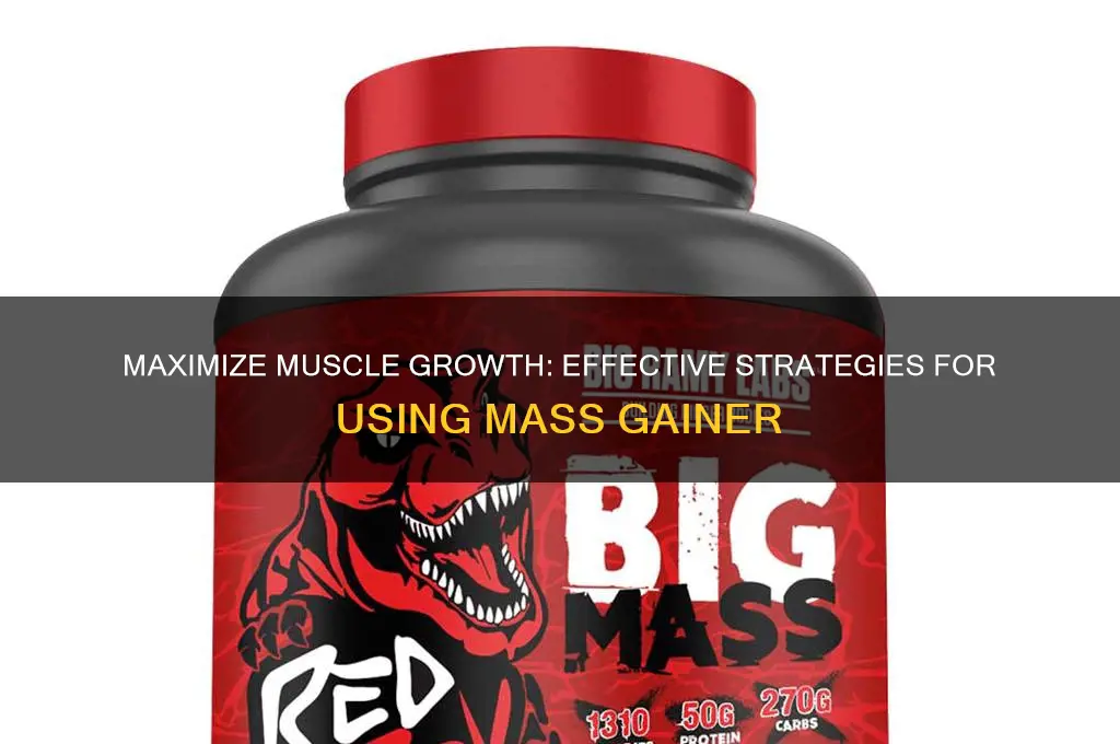 Maximize Muscle Growth: Effective Strategies For Using Mass Gainer ...