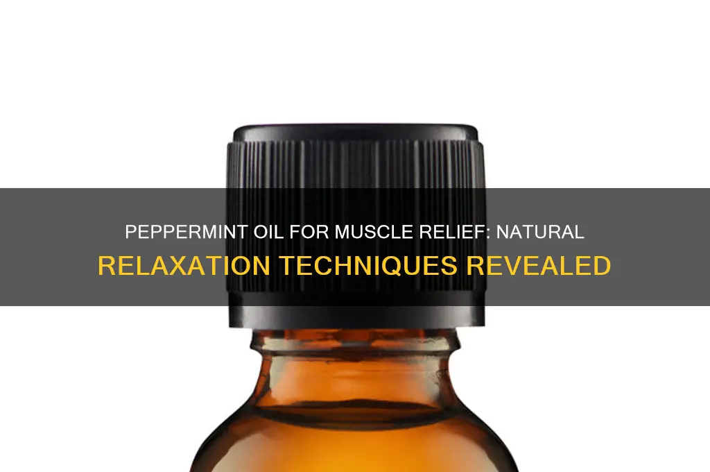 Peppermint Oil For Muscle Relief: Natural Relaxation Techniques ...
