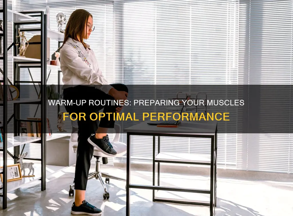 Warm-Up Routines: Preparing Your Muscles For Optimal Performance | CyVigor