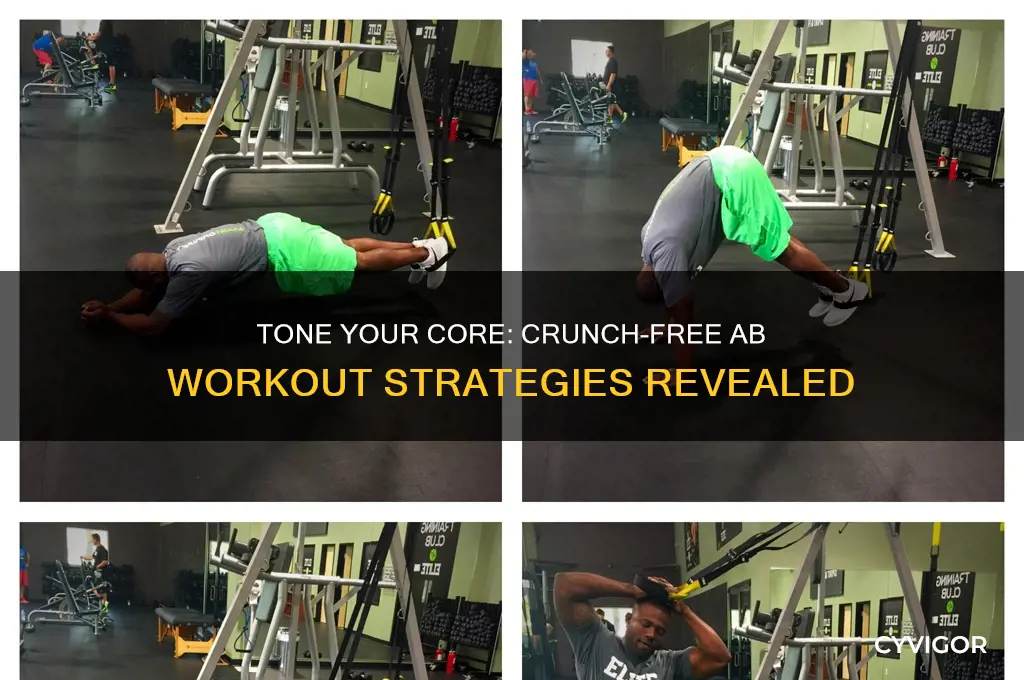 Tone Your Core: Crunch-Free Ab Workout Strategies Revealed | CyVigor