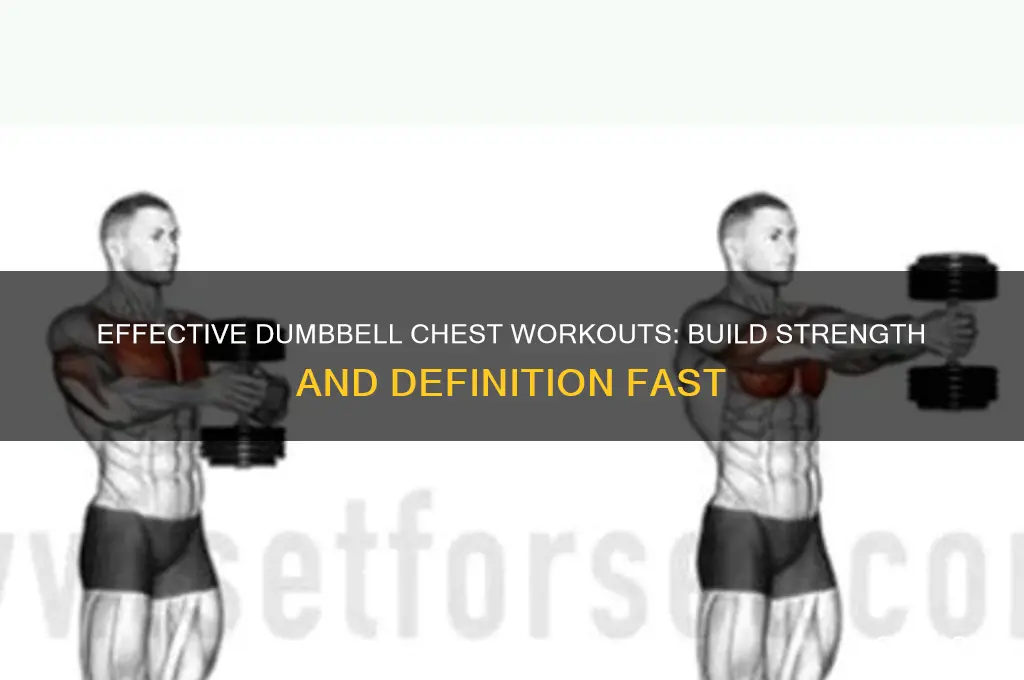 Effective Dumbbell Chest Workouts: Build Strength And Definition Fast ...