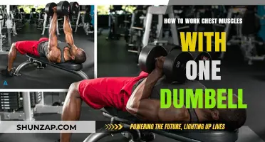 Effective Dumbbell Chest Workouts: Build Strength And Definition Fast ...
