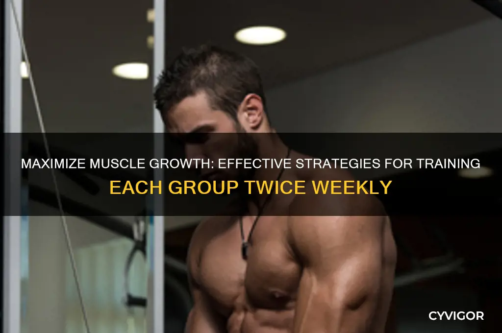 Maximize Muscle Growth: Effective Strategies For Training Each Group ...