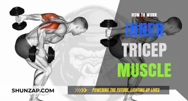 Strengthen Your Inner Quads: Effective Exercises And Techniques To Try ...