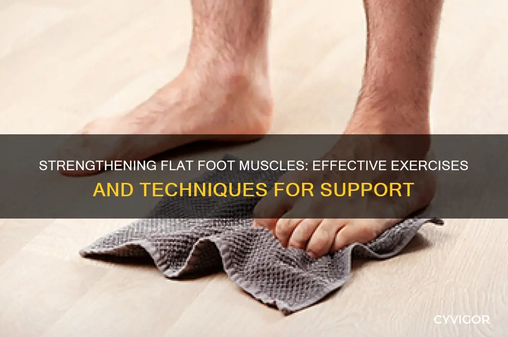 Strengthening Flat Foot Muscles: Effective Exercises And Techniques For ...