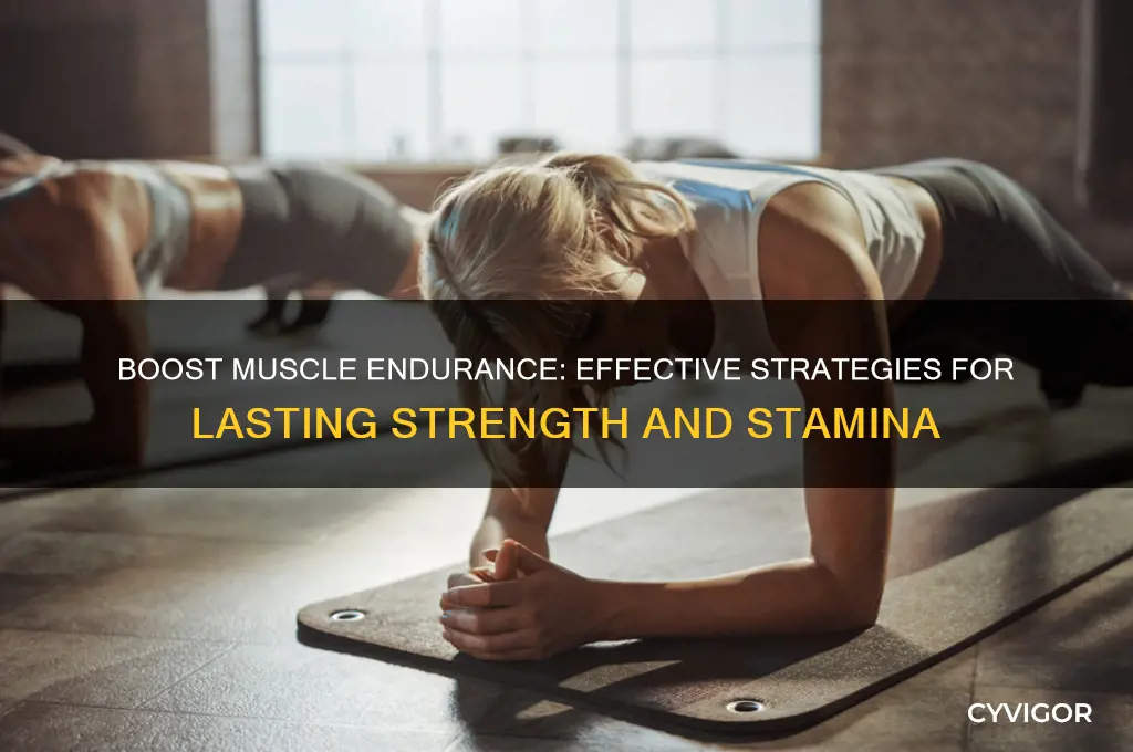 Boost Muscle Endurance: Effective Strategies For Lasting Strength And ...