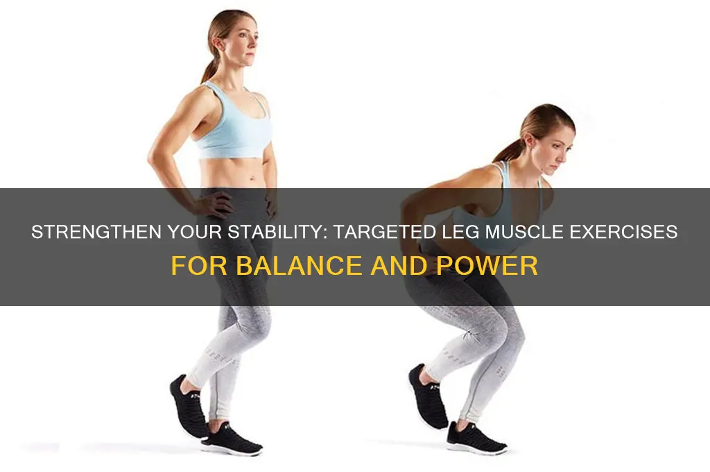 Strengthen Your Stability: Targeted Leg Muscle Exercises For Balance ...