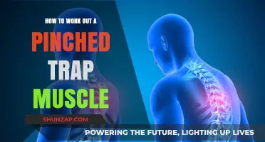 Effective Free Weight Exercises To Strengthen Your Back Muscles | CyVigor