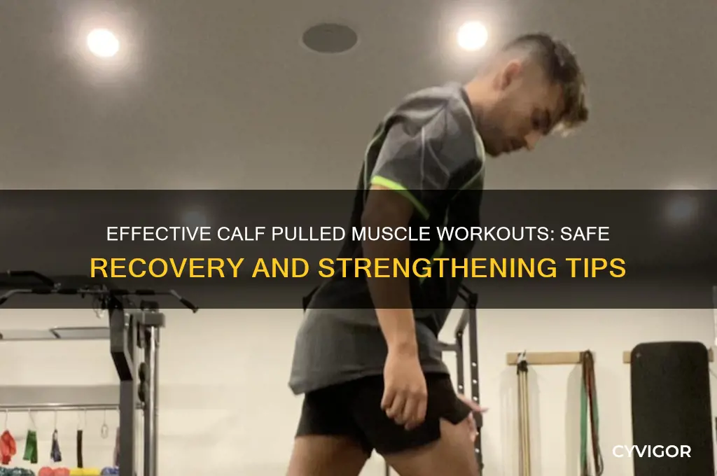 Effective Calf Pulled Muscle Workouts: Safe Recovery And Strengthening ...