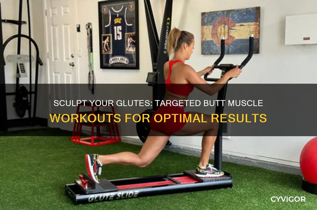 Sculpt Your Glutes: Targeted Butt Muscle Workouts For Optimal Results ...