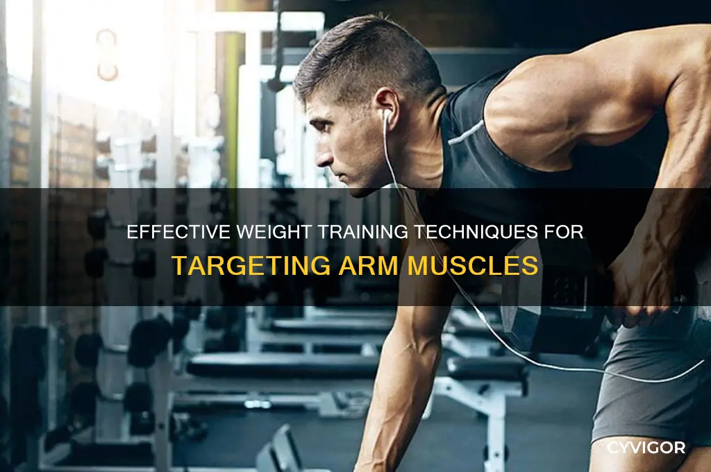 Effective Weight Training Techniques For Targeting Arm Muscles | CyVigor