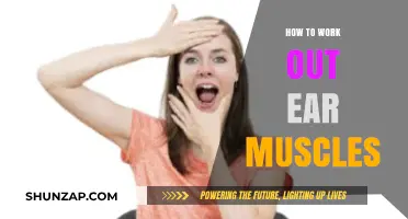 Calculate Your Muscle Mass: A Step-By-Step Guide To Accurate ...