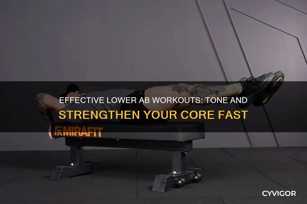 Effective Lower Ab Workouts: Tone And Strengthen Your Core Fast | CyVigor