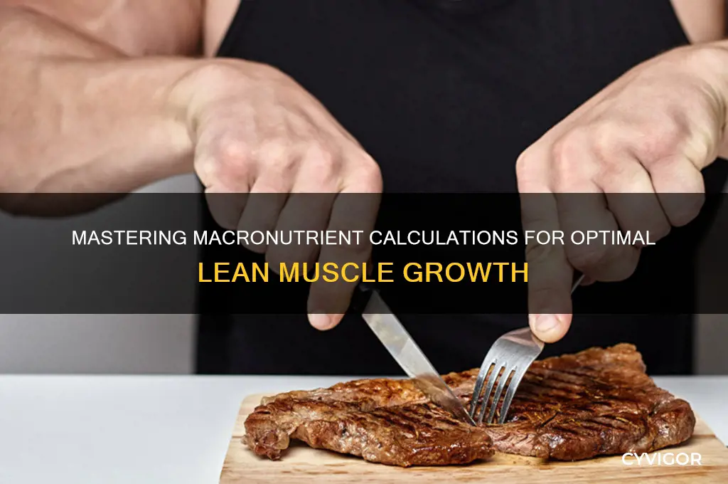 Mastering Macronutrient Calculations For Optimal Lean Muscle Growth ...