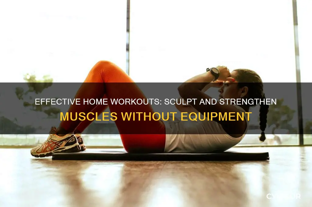 Effective Home Workouts: Sculpt And Strengthen Muscles Without ...