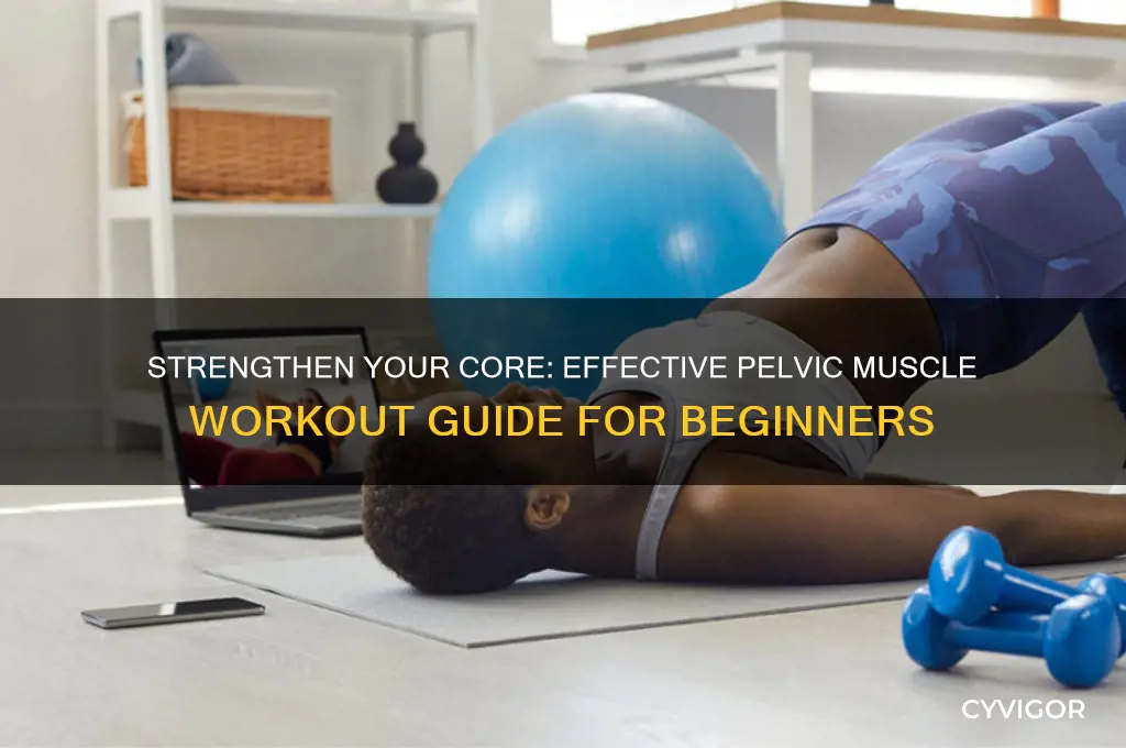 Strengthen Your Core: Effective Pelvic Muscle Workout Guide For ...