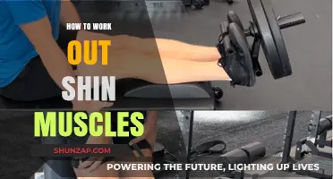 Effective Exercises To Strengthen And Tone Your Sartorius Muscle | CyVigor