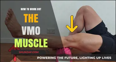 Effective Exercises To Strengthen Your Transverse Abdominal Muscles ...
