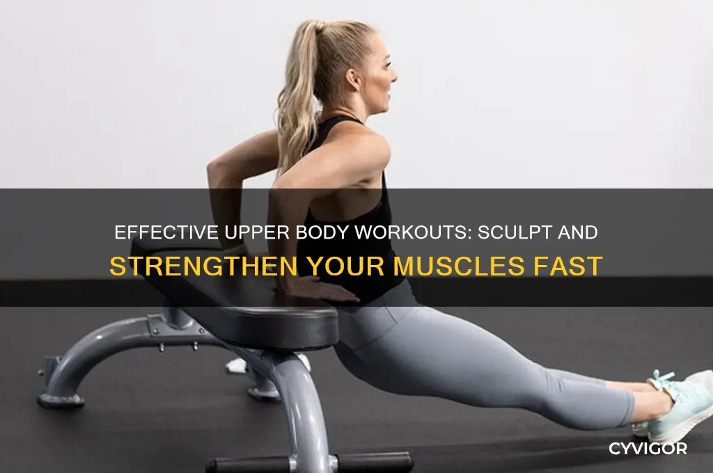 Effective Upper Body Workouts: Sculpt And Strengthen Your Muscles Fast ...