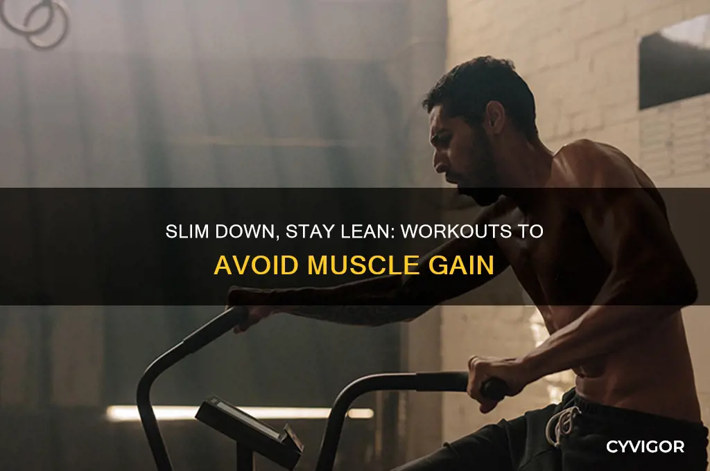 Slim Down, Stay Lean: Workouts To Avoid Muscle Gain | CyVigor