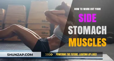 Strengthen Your Rib Cage: Effective Exercises For Core Stability | CyVigor