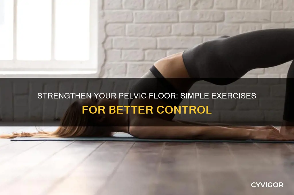 Strengthen Your Pelvic Floor: Simple Exercises For Better Control | CyVigor