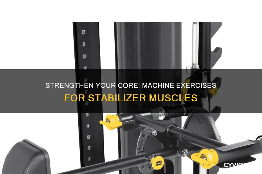 Strengthen Your Core: Machine Exercises For Stabilizer Muscles | CyVigor