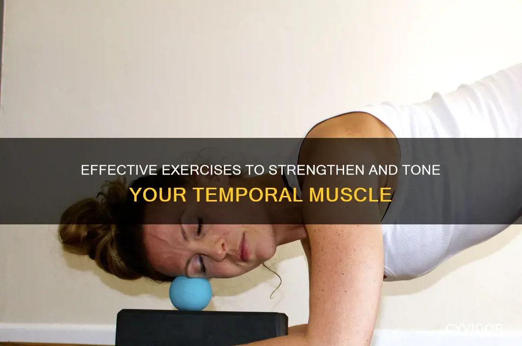 Effective Exercises To Strengthen And Tone Your Temporal Muscle | CyVigor