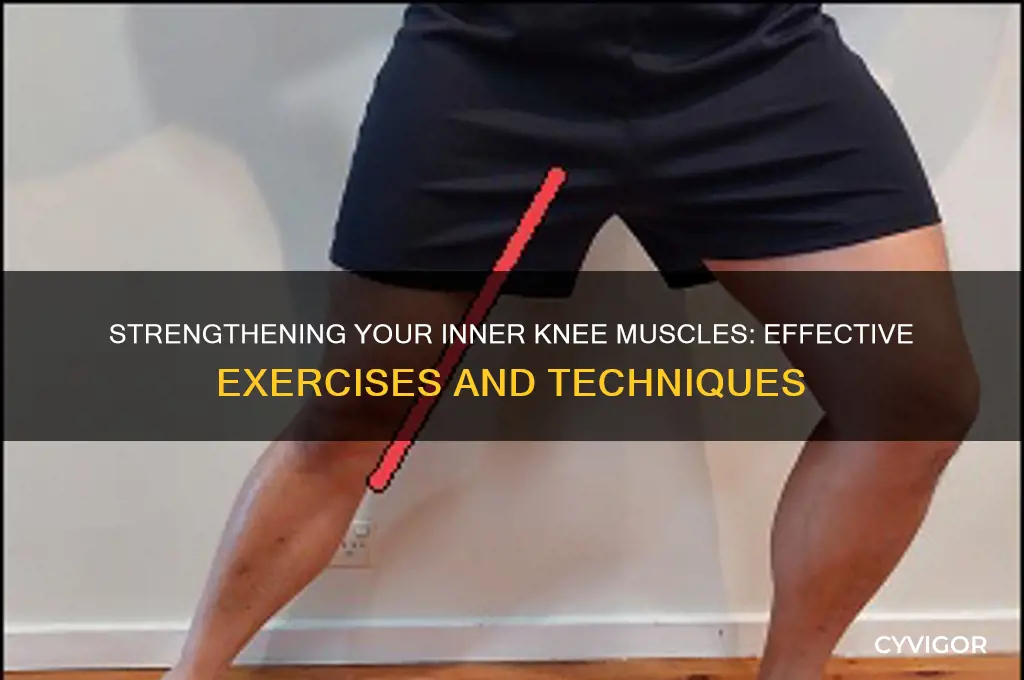 Strengthening Your Inner Knee Muscles: Effective Exercises And ...