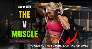 Mastering Tva Activation: Techniques To Strengthen Your Core Muscle ...
