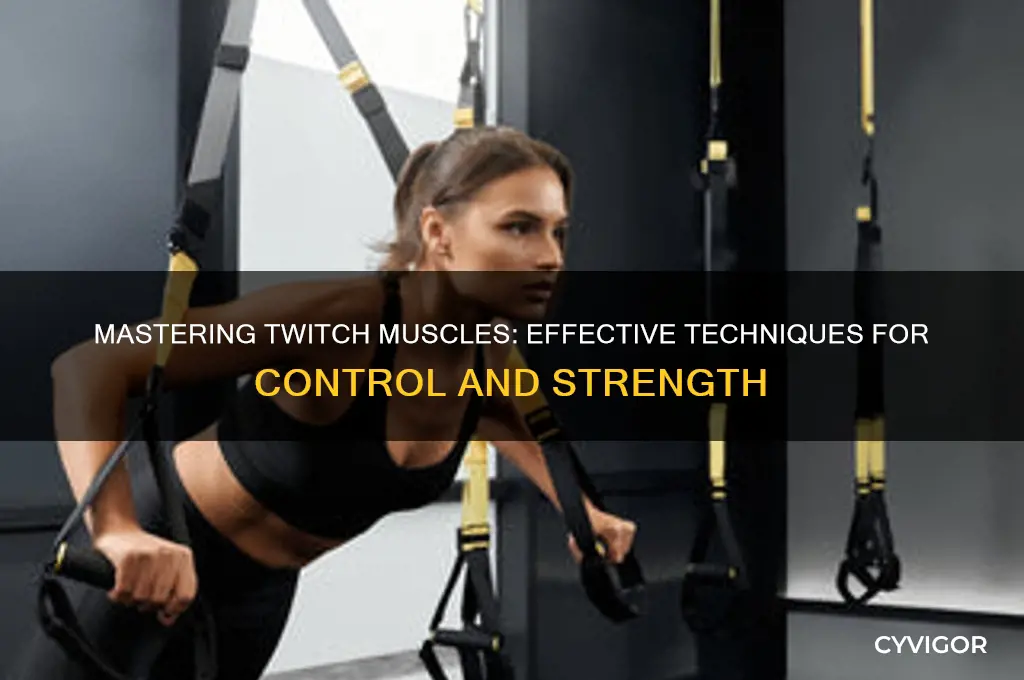 Mastering Twitch Muscles: Effective Techniques For Control And Strength ...
