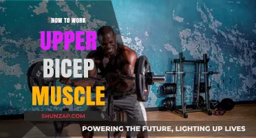 Strengthen Your Vastus Medialis: Effective Exercises And Techniques ...
