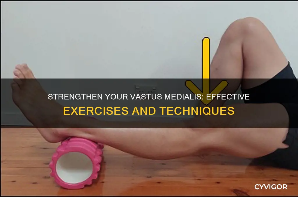 Strengthen Your Vastus Medialis: Effective Exercises And Techniques ...