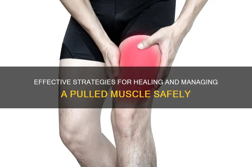 Effective Strategies For Healing And Managing A Pulled Muscle Safely ...
