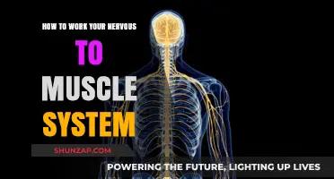 Muscle Memory: Unlocking The Science Behind Skill Retention And Recall ...