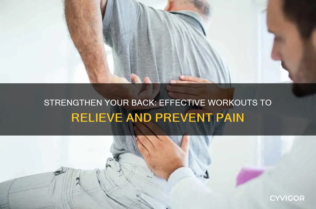 Strengthen Your Back: Effective Workouts To Relieve And Prevent Pain ...