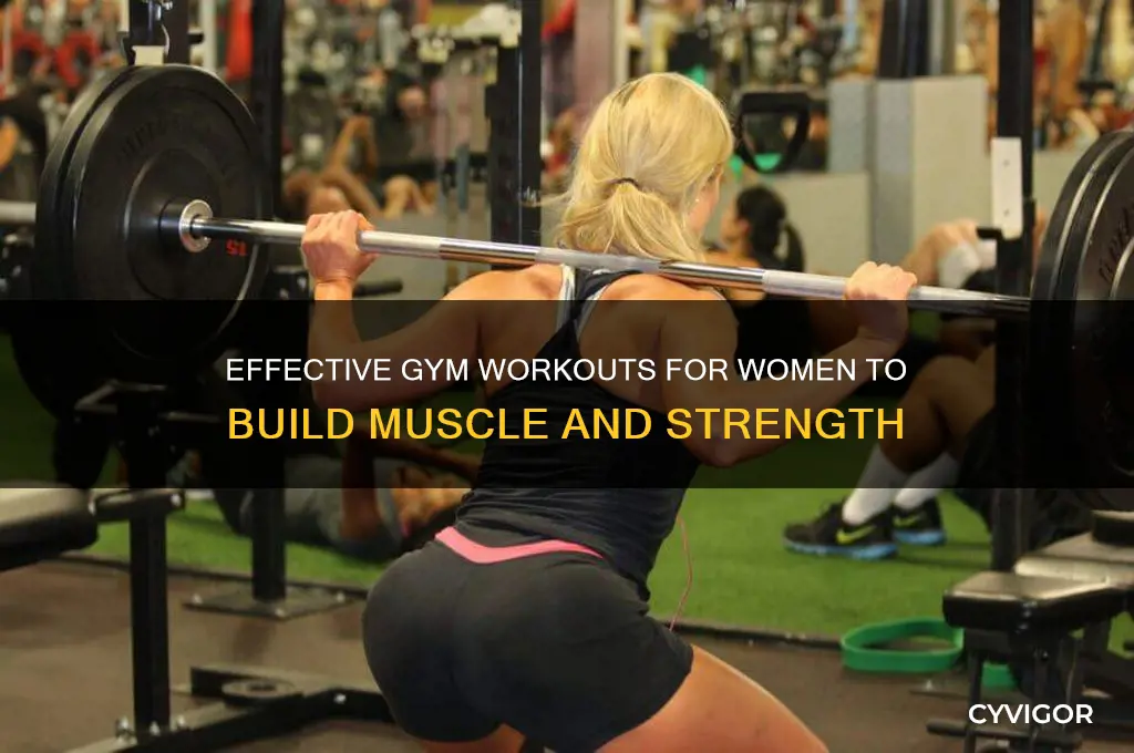 Effective Gym Workouts For Women To Build Muscle And Strength | CyVigor