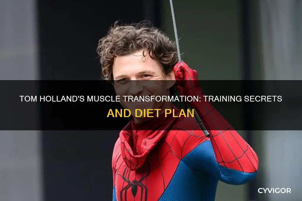 Tom Holland's Muscle Transformation: Training Secrets And Diet Plan ...