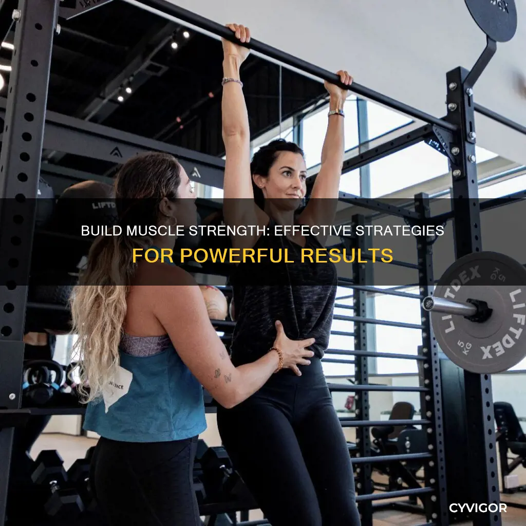 Build Muscle Strength: Effective Strategies For Powerful Results | CyVigor
