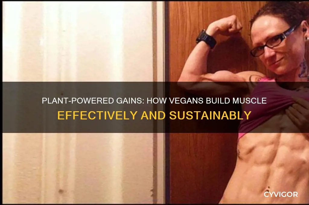 Plant-Powered Gains: How Vegans Build Muscle Effectively And ...