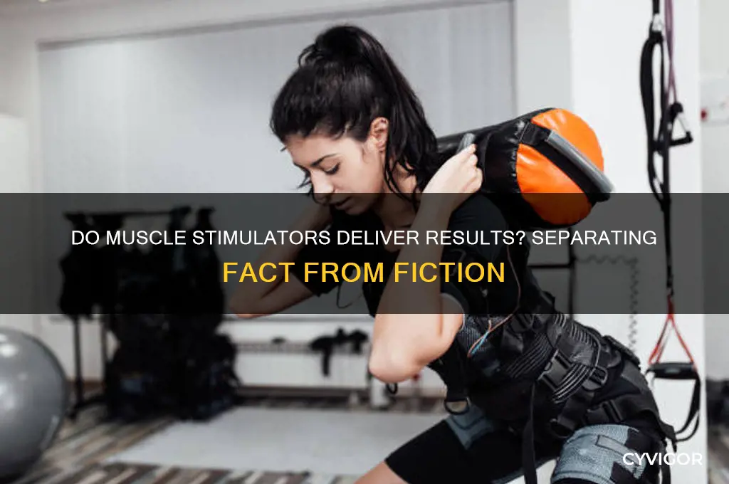 Do Muscle Stimulators Deliver Results? Separating Fact From Fiction ...