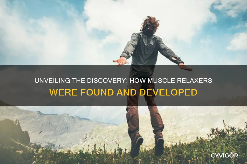 Unveiling The Discovery: How Muscle Relaxers Were Found And Developed ...