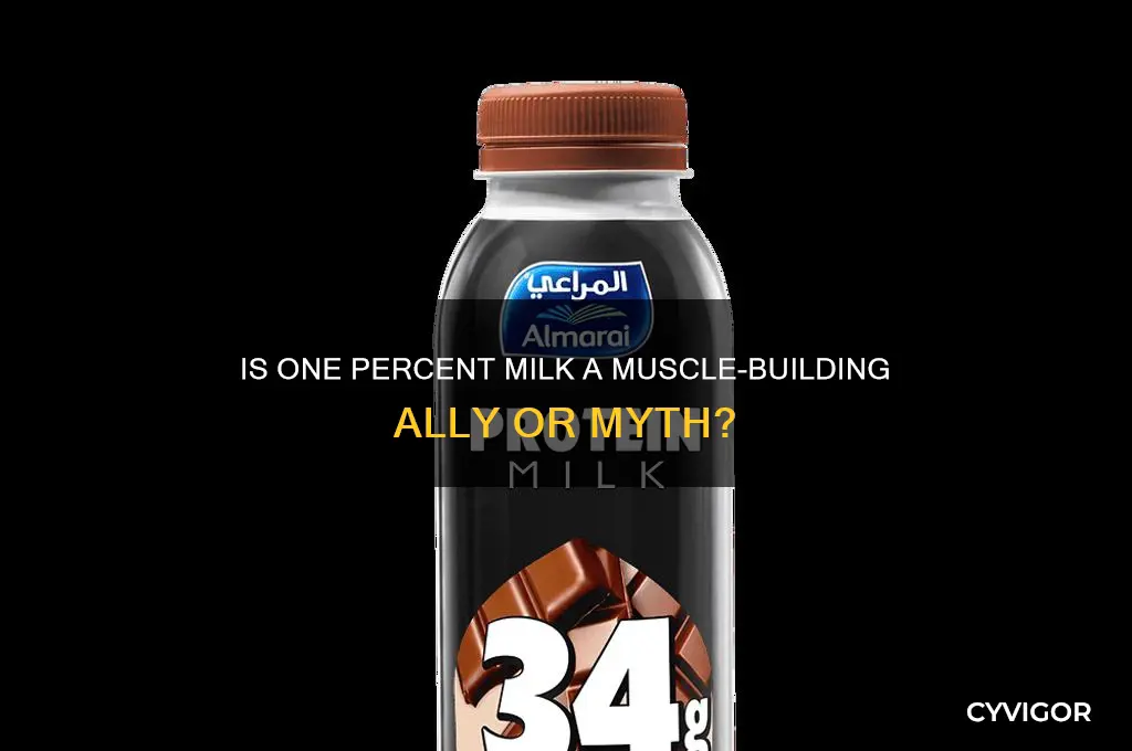 Is One Percent Milk A Muscle-Building Ally Or Myth? | CyVigor