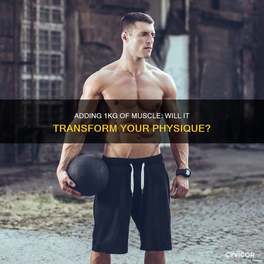 Adding 1Kg Of Muscle: Will It Transform Your Physique? | CyVigor