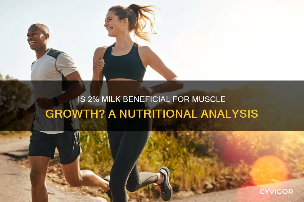 Is 2% Milk Beneficial For Muscle Growth? A Nutritional Analysis | CyVigor