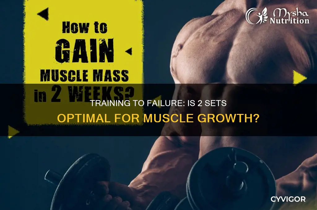 Training To Failure: Is 2 Sets Optimal For Muscle Growth? | CyVigor