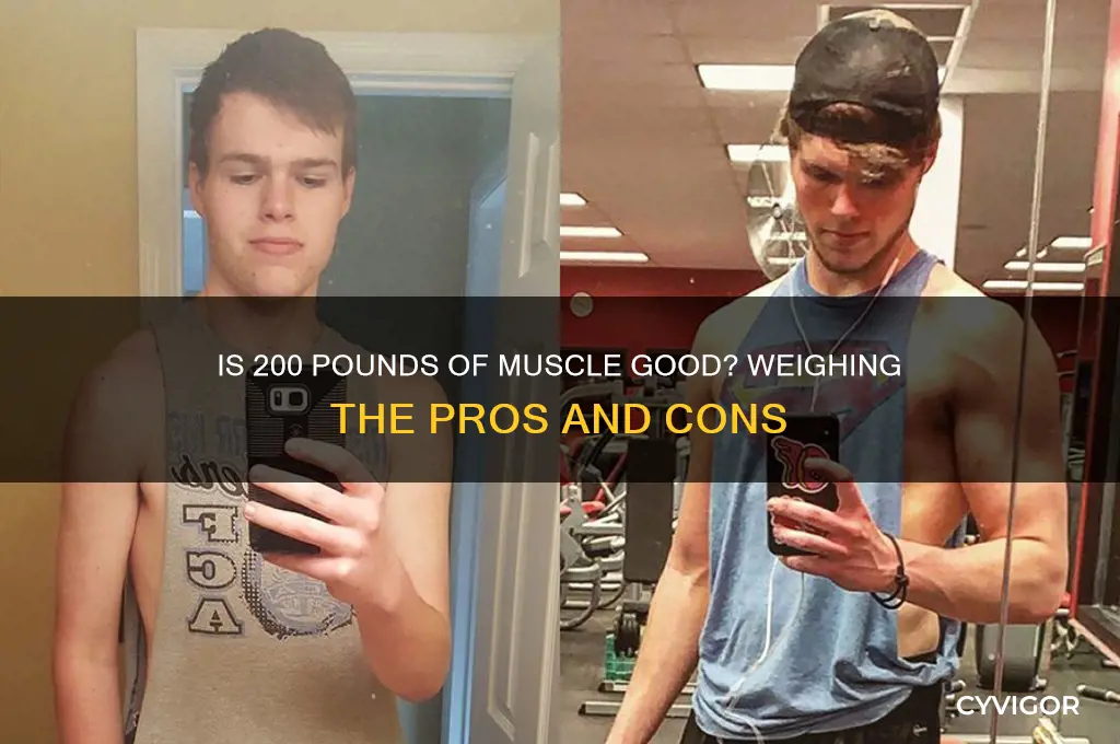 Is 200 Pounds Of Muscle Good? Weighing The Pros And Cons | CyVigor